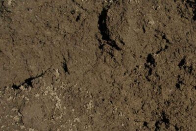 Washed Shingle - Silverton Aggregates