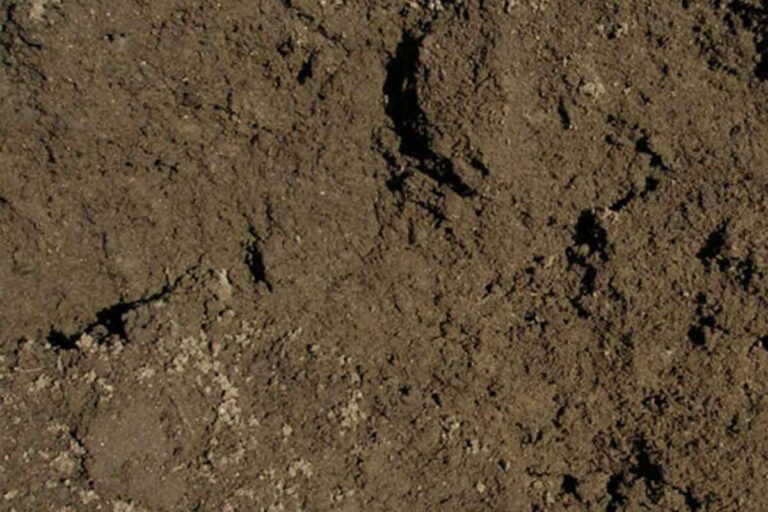 BS3882 Grade A Topsoil - Silverton Aggregates